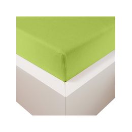 Traumschloss Premium Plus Edel-Jersey Spannbettlaken in moos | Gr.: 140-160 x 200-220 cm