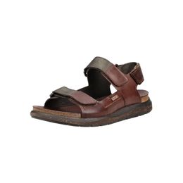 Pikolinos Sandalen in Dunkelbraun | Gr.: 42