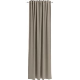 Neutex for you! Vorhang NEUTEX FOR YOU "Linessa", beige (sand), B:137cm H:180cm, Jacquard, Polyester, Gardinen, Schal mit verdeckten Schlaufen, Breite 137 cm, nach Ma&szlig;