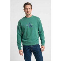 Sweatshirt Calvin Klein Jeans "LS EU 350TERRY MONOLOGO CN SWTSH", Herren, Gr. M, enchanted forest, Sweatware, Obermaterial: 100% Baumwolle, unifarben, oversize normal, Rundhals, eingesetzt B&uuml;ndchen, Sweatshirts Sweatshirt, Rundhalsausschnitt, regular fit