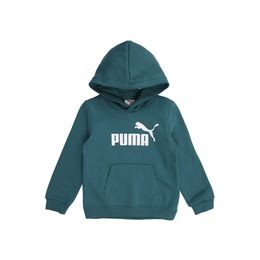 Puma Sweatshirt 'Ess No. 1' boy Green size 110