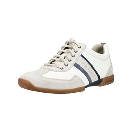 Pius Gabor Sneaker Herren Gr&ouml;&szlig;e 43 saphir / wei&szlig;