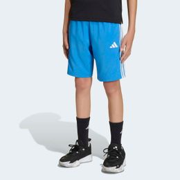 Shorts adidas Sportswear "ESSENTIALS CLIMACOOL KIDS", Jungen, Gr. 164, N-Gr, ray blau, wei&szlig;, Obermaterial: 100% Polyester, Hosen Shorts