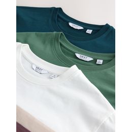 Next T-Shirt Herren Gr&ouml;&szlig;e XL elfenbein / marine / rostbraun / tanne