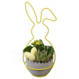 Hase bepflanzt Indoor 15 cm Topf