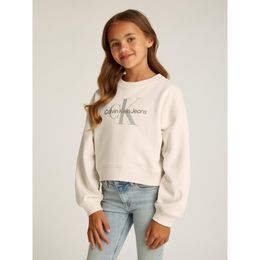 Calvin Klein Jeans Damen Sweatshirt &raquo;GLITTER MONOLOGO CN SWEATSHIRT&laquo;, f&uuml;r Kinder bis 16 Jahre mit Logoschriftzug beige 4 (104)