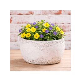 AltoBelli Blumentopf ADELINA Schale Zement Antik Grau Patina 20x10 cm | Gr.: onesize
