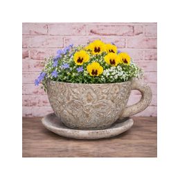 AltoBelli Blumentopf FIORENZA Zement Antik Grau Patina Deko Tasse mit Untertasse 21x17 cm | Gr.: onesize
