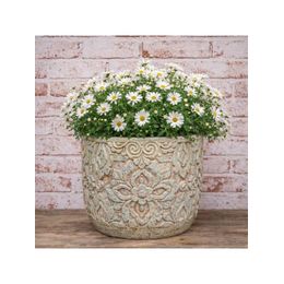 AltoBelli Blumentopf FIORENZA Antik Grau Patina Zement 17x16 cm | Gr.: onesize
