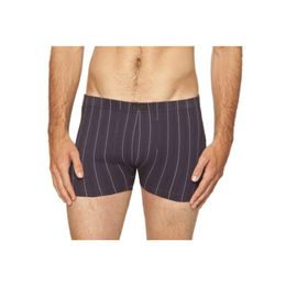 Frank Fields Retro-Pants 4er Pack in schwarz | Gr.: 5