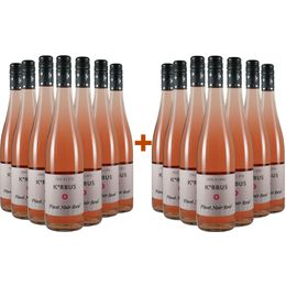 Korbus Wine 7+7 Paket Pinot Noir Ros&eacute; Sp&auml;tburgunder 2025 Trocken - Franken &ndash; Probierpaket Qualit&auml;tswein
