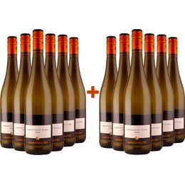 Weingut Langenwalter 6+6 Paket Sauvignon Blanc 2024 Trocken - Pfalz &ndash; Probierpaket Qualit&auml;tswein