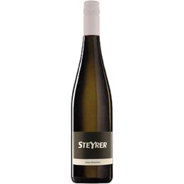Weingut Steyrer Gelber Muskateller 2025 Trocken - Nieder&ouml;sterreich &ndash; Wei&szlig;wein Qualit&auml;tswein