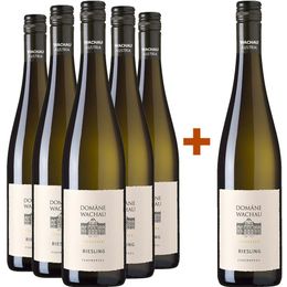 Dom&auml;ne Wachau Dom&auml;ne Wachau 5+1 Paket Federspiel Terrassen Riesling 2025 Trocken - DAC &ndash; Probierpaket Qualit&auml;tswein