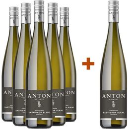 Weingut Anton 5+1 Paket Sauvignon Blanc 2024 Trocken - Herxheimer Pfalz &ndash; Probierpaket Qualit&auml;tswein