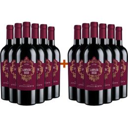 Ettore Galasso 3+3 Paket Lampasso Rosso Montepulciano 2022 Trocken - Abruzzen &ndash; Probierpaket Vino Generico
