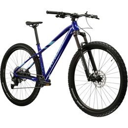 KROSS Mountainbike "Hardtail Level 5.0", 41cm, 29 Zoll (73,66cm) hinten: 29 Zoll (73,66cm), blau, Fahrr&auml;der