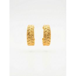 Nemomatheo Ohrringe 'Pluma Elegance &ndash; Federzauber' Damen Gr&ouml;&szlig;e 2.5 cm x 2.5 cm gold