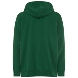 LEVI'S&reg; PLUS LEVI'S PLUS Herren Kapuzensweatshirt, gr&uuml;n, Gr. XXL, Frottee, Obermaterial: 100% Baumwolle, Sweatshirts, mit dezentem Levi's Batwing Logo