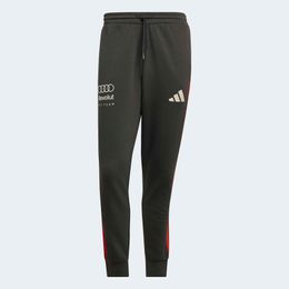 adidas Performance Sporthose 'Audi Formula One Team DNA' Herren Gr&ouml;&szlig;e S dunkelgrau / rot / wei&szlig;