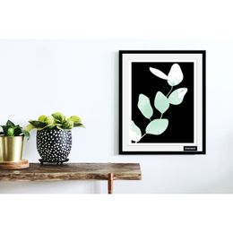 Bruno Banani Bild mit Rahmen &raquo;Eukalyptus - Gerahmter Digitaldruck - Wandbild&laquo; Blumenbilder Kunst Modern 1 Stk. tlg. Holzrahmen - Dekoration gr&uuml;n Acrylglas, Holz