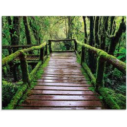 Artland Glasbild &raquo;Br&uuml;ckenpfad im Wald&laquo; Asien 1 Stk. tlg. in verschiedenen Gr&ouml;&szlig;en gr&uuml;n
