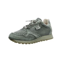 CETTI Sneaker in gr&uuml;n | Gr.: 44