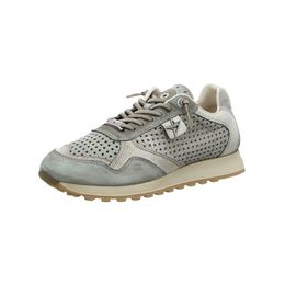 CETTI Sneaker in gr&uuml;n | Gr.: 42