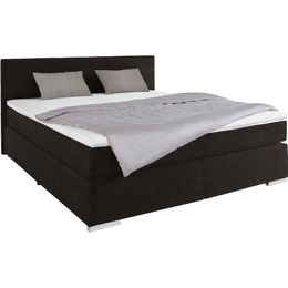 Boxspringbett COTTA "Simba", braun, L:209cm, Komplettbetten, Boxspringbett, Topseller wahlweise mit oder ohne Matratze und Topper bestellbar, Topseller