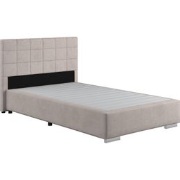 Boxspringbett COTTA "Simba", grau (elephant), L:209cm, Komplettbetten, Boxspringbett, Topseller wahlweise mit oder ohne Matratze und Topper bestellbar, Topseller