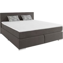 Boxspringbett COTTA "Simba", grau, L:209cm, Komplettbetten, Boxspringbett, Topseller wahlweise mit oder ohne Matratze und Topper bestellbar, Topseller