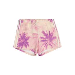 adidas originals Shorts M&auml;dchen Gr&ouml;&szlig;e 134 chamois / orchidee