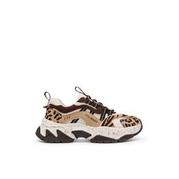 Steve Madden Sneaker in beige | Gr.: 39