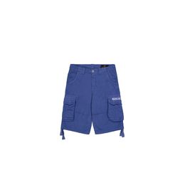 Alpha Industries Pants male size 38 Dark blue