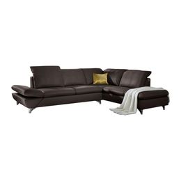 Ecksofa W.Schillig, B:296cm H:84cm T:242cm, braun, Longlife Xtra-Leder Z73: Naturwalkleder der Luxusklasse aus den erlesensten Rohh&auml;uten. Hautst&auml;rke