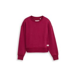Tom Tailor Sweatshirt Jungen Gr&ouml;&szlig;e 176 grenadine