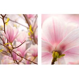 Bild CREATIV HOME "Magnolien", rosa (farbe bild(er): rosa), B:30cm H:40cm T:2cm, Leinen, Bilder, Bild, 2er Set
