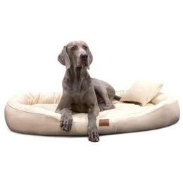 tierlando &reg; Orthop&auml;disches Hundebett TIFFANY Easy-Clean | Gro&szlig;e Hunde XXL creme 1,45 m, 20 cm, 1,05 m