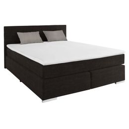 Boxspringbett COTTA "Simba", braun, L:209cm, Komplettbetten, Boxspringbett, Topseller wahlweise mit oder ohne Matratze und Topper bestellbar, Topseller