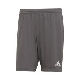 adidas Performance Sportshorts 'Entrada 22' Herren Gr&ouml;&szlig;e L basaltgrau / wei&szlig;