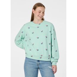 Sweatshirt Ragwear "WUSS SHELLS", Damen, Gr. L, mint, Sweatware, Obermaterial: 70% Baumwolle, 30% Polyester, bedruckt, normal, Rundhals, Sweatshirts Sweatshirt, Elastische Baumwollmischung und softem Finish mit Muschel-Print
