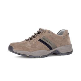Sneaker Gabor "Sneaker low", Herren, Gr. 42,5, beige, Schuhe Sneaker