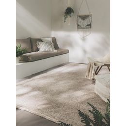 benuta Pure Kurzflor Teppich aus recyceltem Material Kiah Cream/Taupe 80x150 cm - Moderner Kurzflor-Teppich f&uuml;r Wohnzimmer