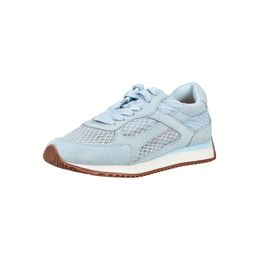 Gioseppo Sneaker in Hellblau | Gr.: 41