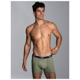 Boxer TRIGEMA "TRIGEMA Bequeme Pants mit Webgummibund", Herren, Gr. 3XL, 1 Stk., salbei, 95% Baumwolle, 5% Elastan, Unterhosen