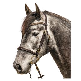 Loesdau Trensenzaum Saumur braun PONY