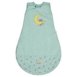Sterntaler Babyschlafsack 'Bo' Gr&ouml;&szlig;e 56/62 mint / mischfarben