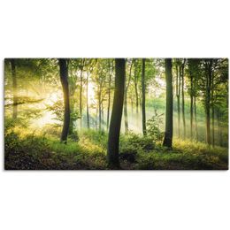 Wandbild Artland, B:100cm H:50cm, gr&uuml;n, Wohnzimmer, Bilder, "Herbst im Wald II", als Alubild, Leinwandbild, Poster in verschied. Gr&ouml;&szlig;en