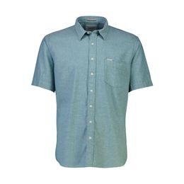 Bison Herren Flanellhemd "Freizeithemd Regular Fit"pale gr&uuml;n, Gr. L, Obermaterial: 100% Baumwolle, Hemden