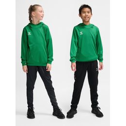 Hummel Kapuzenpullover Hmlauthentic Kinder in JELLY BEAN | Gr.: 140